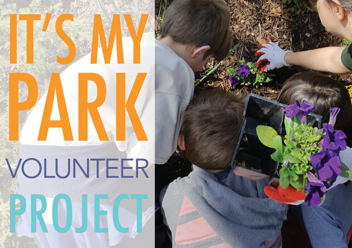 It's My Park at Ewen Park - City Parks Foundation